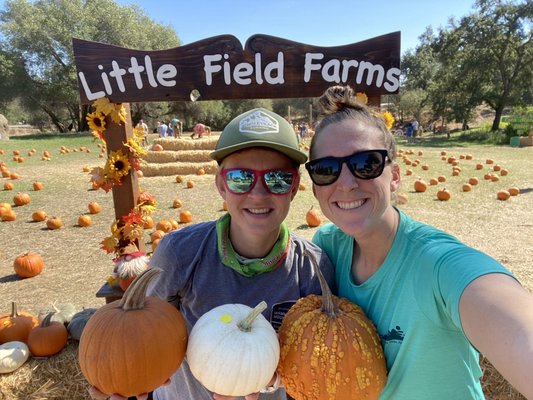 LITTLE FIELD FARMS - Updated October 2025 - 30 Photos & 15 Reviews ...