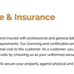 PRINCE SECURITY SERVICES - Security Services - 8701 Georgia Ave, Silver ...