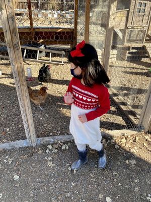 ALDEN LANE NURSERY - Updated September 2024 - 371 Photos & 215 Reviews ...