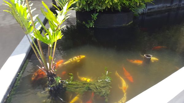 POPULAR CENTER - Updated July 2025 - 70 Photos - Av. Luis Muñoz Rivera ...