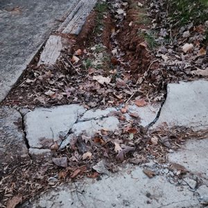 ARROW WASTE - Updated January 2026 - 27 Photos & 74 Reviews - 4039 ...