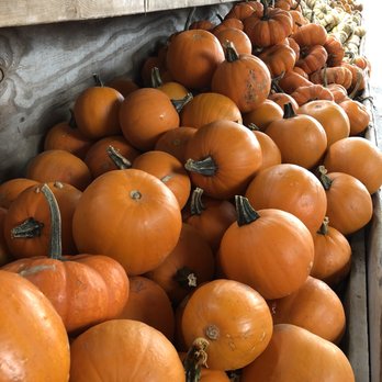 BI WATER FARM & GREENHOUSE - Updated October 2025 - 47 Photos & 26 ...