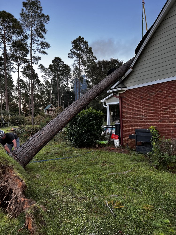 SHERIDAN TREE EXPERTS - Updated October 2025 - Lignum, Virginia - Tree ...