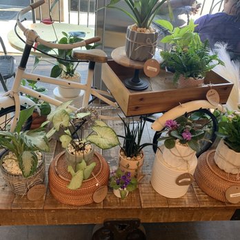 MINI MONSTER CAFE - Updated April 2024 - 1706 Photos & 773 Reviews ...