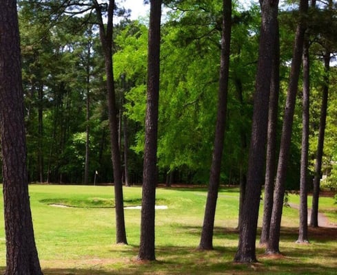 CHEROKEE PINES GOLF CLUB - Updated July 2025 - 270 County Rd 382 ...