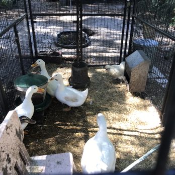 MRS MANGO & COMPANY - Updated November 2025 - 56 Photos & 28 Reviews ...