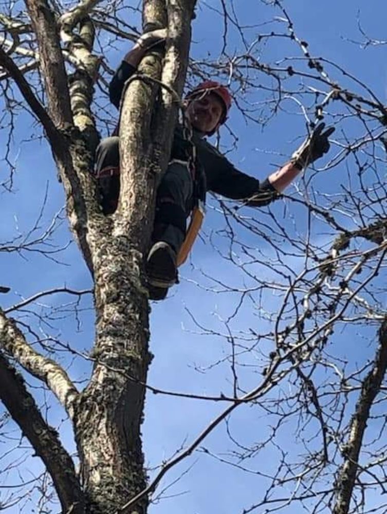 TOP HAND TIMBER AND TREE SERVICE - Updated February 2025 - 29 Photos ...