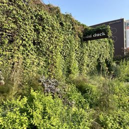 ODD DUCK - Updated December 2025 - 5243 Photos & 2401 Reviews - 1201 S ...