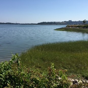 BACK COVE TRAIL - Updated January 2026 - 94 Photos & 33 Reviews ...