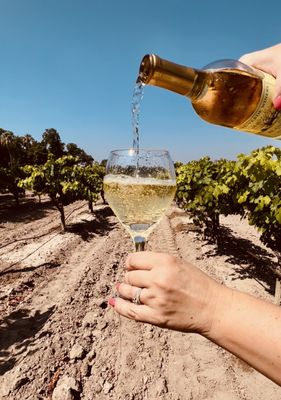 VAL VERDE WINERY - Updated November 2025 - 67 Photos & 32 Reviews - 100 ...