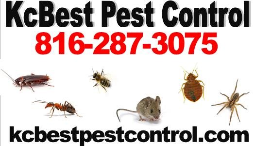 KC BEST - Request a Quote - Kansas City, Missouri - Pest Control ...