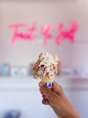 THE CUSTARD CO - Updated August 2025 - 232 Photos & 102 Reviews - 2801 ...