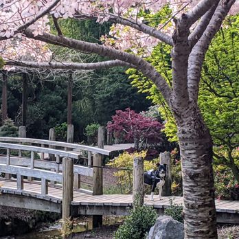 MINGUS PARK - Updated December 2025 - 58 Photos & 11 Reviews - 1100 ...