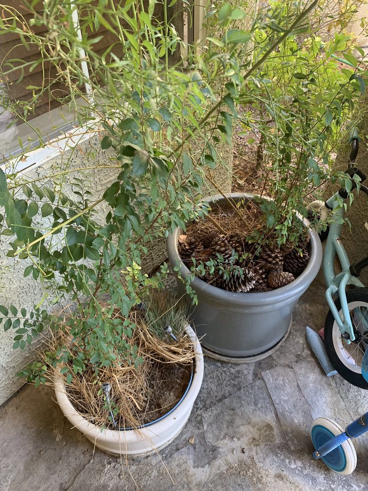 LAWN LOVE LAWN CARE - Updated July 2024 - 27 Photos & 74 Reviews - 400 ...