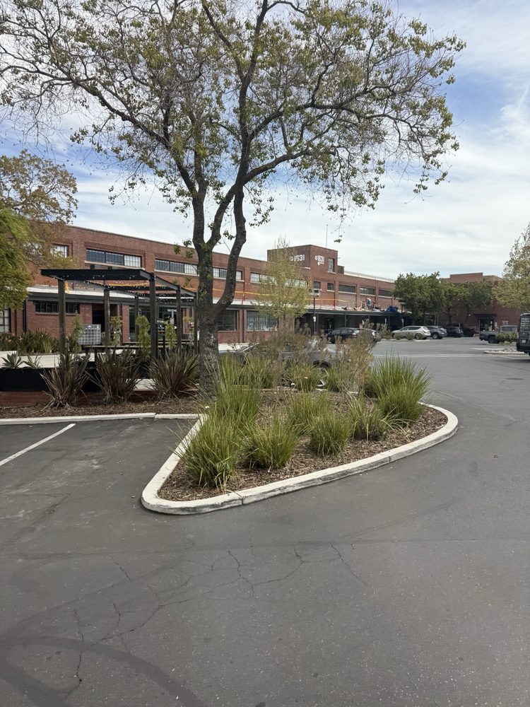 SACRAMENTO MEPS - Updated December 2025 - 10 Reviews - 1651 Alhambra ...