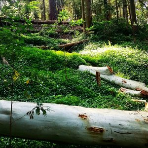 FLOWER POWER PROSPECT - Updated December 2025 - 25 Rowood Rd, Prospect ...