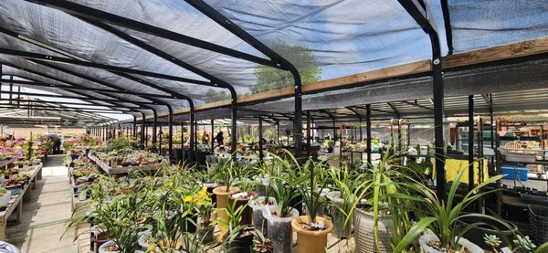 SHUNA’S SUCCULENT HOUSE - Updated April 2024 - 40 Photos & 10 Reviews ...