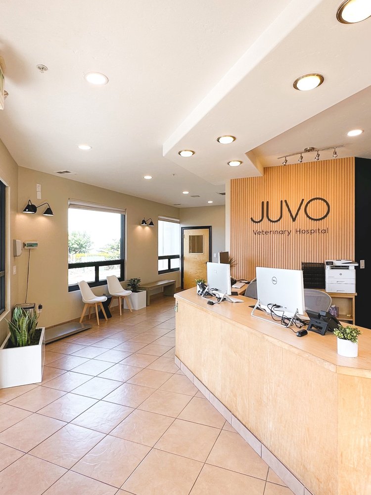JUVO VETERINARY HOSPITAL - 16 Photos & 16 Reviews - 711 Oceana Blvd, Pacifica, California ...