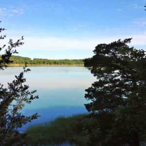 RIZZO INSURANCE GROUP - Updated January 2025 - 310 Broadway, Revere ...