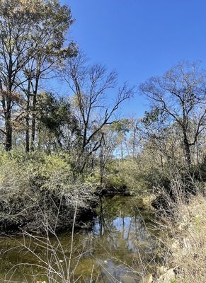 WILLIAM WHITFIELD PARK - Updated February 2025 - 13 Photos - 5101 ...