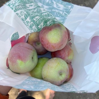 RILEY’S APPLE FARM - Updated January 2025 - 307 Photos & 193 Reviews ...