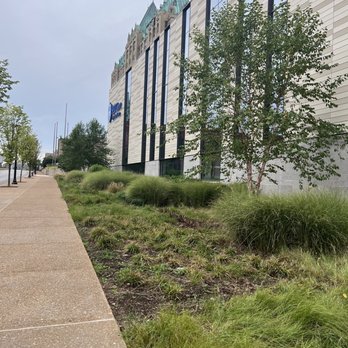 SLUCARE - DERMATOLOGY - Updated January 2026 - 10 Photos - 1225 S Grand ...