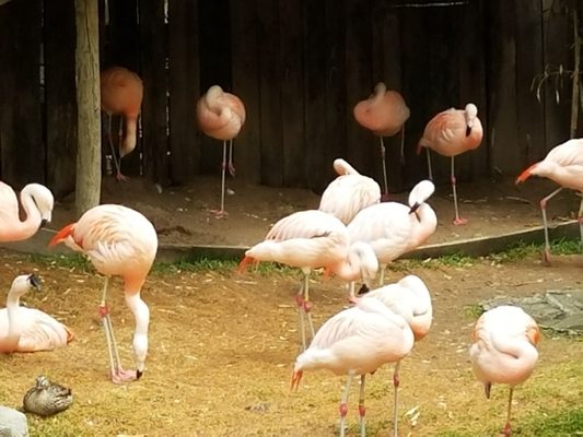 JOHN BALL ZOO - 317 Photos & 103 Reviews - 1300 Fulton W, Grand Rapids ...