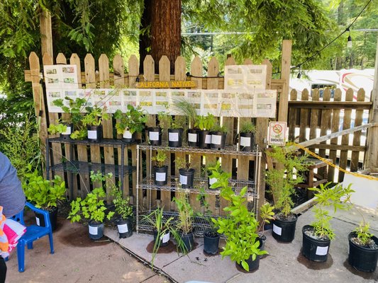 THE PEG HOUSE - Updated February 2025 - 327 Photos & 270 Reviews ...