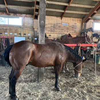 THE DIAMOND P RANCH - Updated October 2025 - 59 Photos & 71 Reviews ...