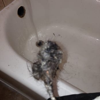 Razor Rooter Plumbing - Updated October 2025 - 52 Photos - 85 Reviews ...