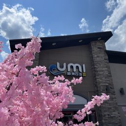 UMI HOTPOT SUSHI & SEAFOOD BUFFET - Updated December 2025 - 1055 Photos ...