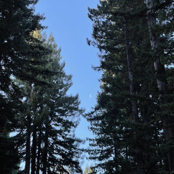 BROOKTRAILS GOLF COURSE - Updated October 2025 - 10 Photos - 24860 ...