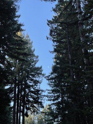 BROOKTRAILS GOLF COURSE - Updated October 2025 - 10 Photos - 24860 ...