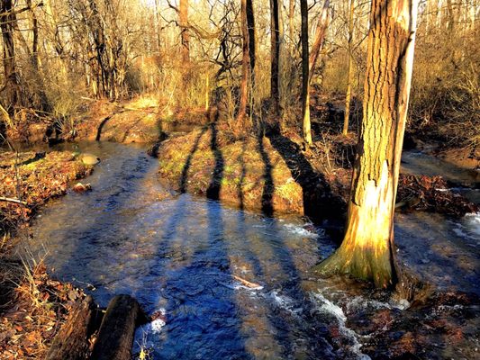 RUSH RUN PARK - Updated October 2025 - 19 Photos - 200 Broadmeadow Blvd ...