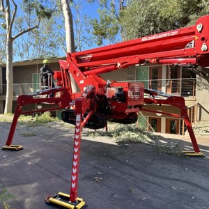 AFFORDABLE TREE CARE - Updated June 2024 - 1877 Photos & 1711 Reviews ...