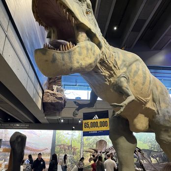 MUSEUM OF SCIENCE - Updated November 2024 - 1555 Photos & 814 Reviews ...