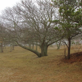 KEYES MEMORIAL BEACH - Updated October 2025 - 39 Photos - Sea St ...