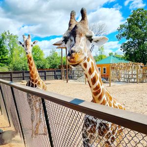 FORT RICKEY DISCOVERY ZOO - Updated April 2025 - 35 Photos - 5135 Rome ...