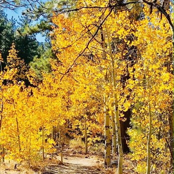 CALLAHAN PARK - Updated January 2025 - 75 Photos & 10 Reviews - 15960 ...