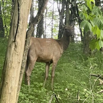 MILE HIGH CAMPGROUND - Updated October 2025 - 4387 Wrights Creek Rd ...