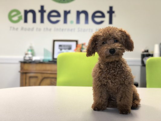 ENTERNET - Updated June 2025 - 20 Photos & 25 Reviews - 3500 Winchester ...