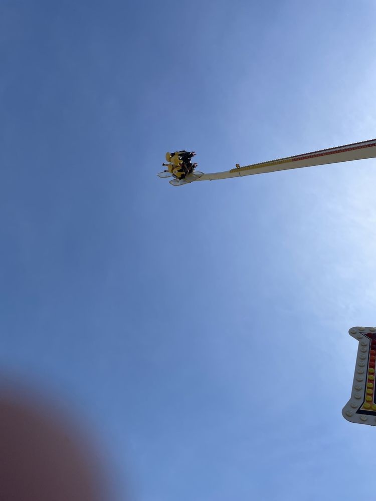 TIGER LANE - Updated October 2025 - 64 Photos - 450 Early Maxwell Blvd ...