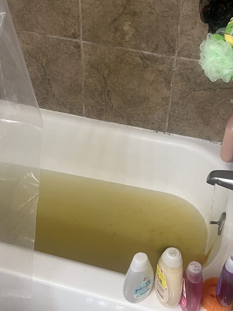 QUAIL MEADOWS APARTMENTS - Updated December 2025 - 10201 Telephone Rd ...