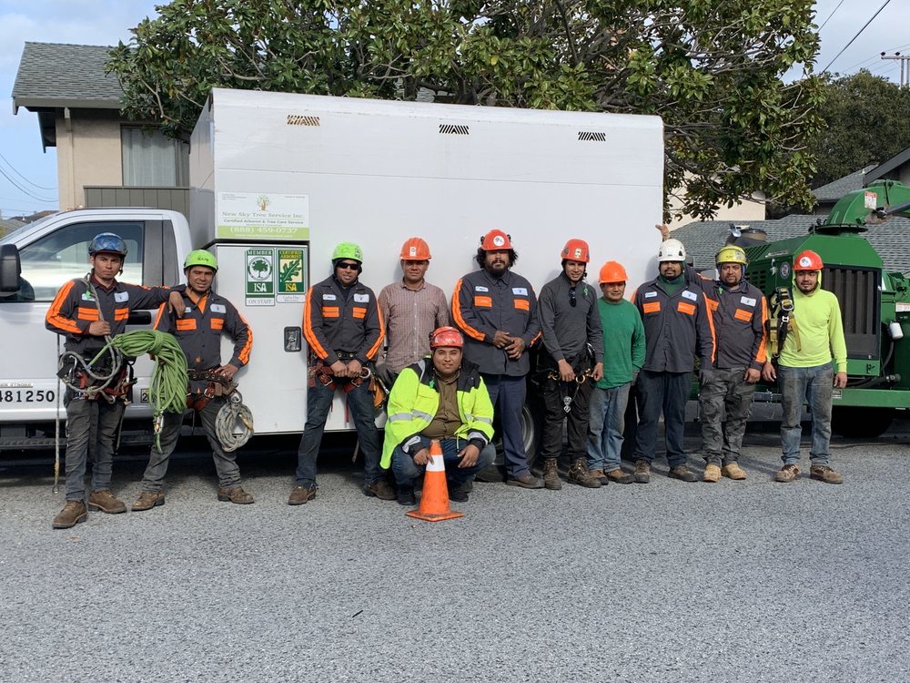 NEW SKY TREE SERVICE - 75 Photos & 104 Reviews - 1185 Campbell Ave, San ...