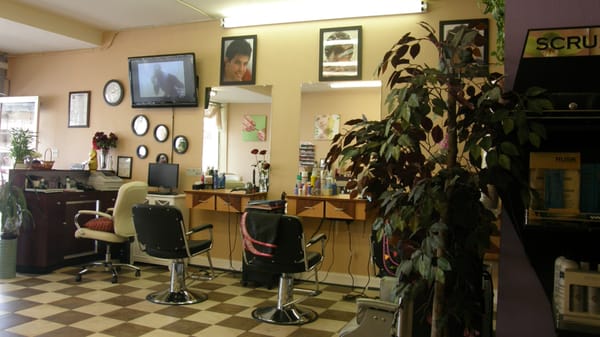 MILAN BEAUTY SALON - 959 S Bascom Ave, San Jose, California - Hair Salons - Phone Number - Yelp