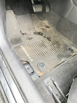 SMART CHOICE MOBILE AUTO DETAILING - 167 Photos & 147 Reviews ...