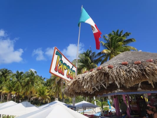 Tarzan - Trusted Since 2014 - Updated July 2025 - Av. Vincente Guerrero ...