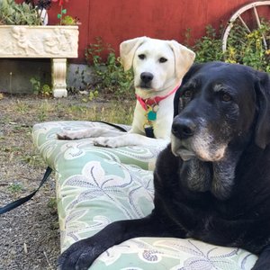 WESTERN FARM CENTER - Updated December 2025 - 115 Photos & 265 Reviews ...