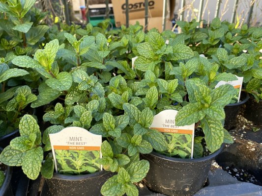 DIAMOND FRESH FARMERS MARKET - Updated December 2025 - 697 Photos & 360 ...