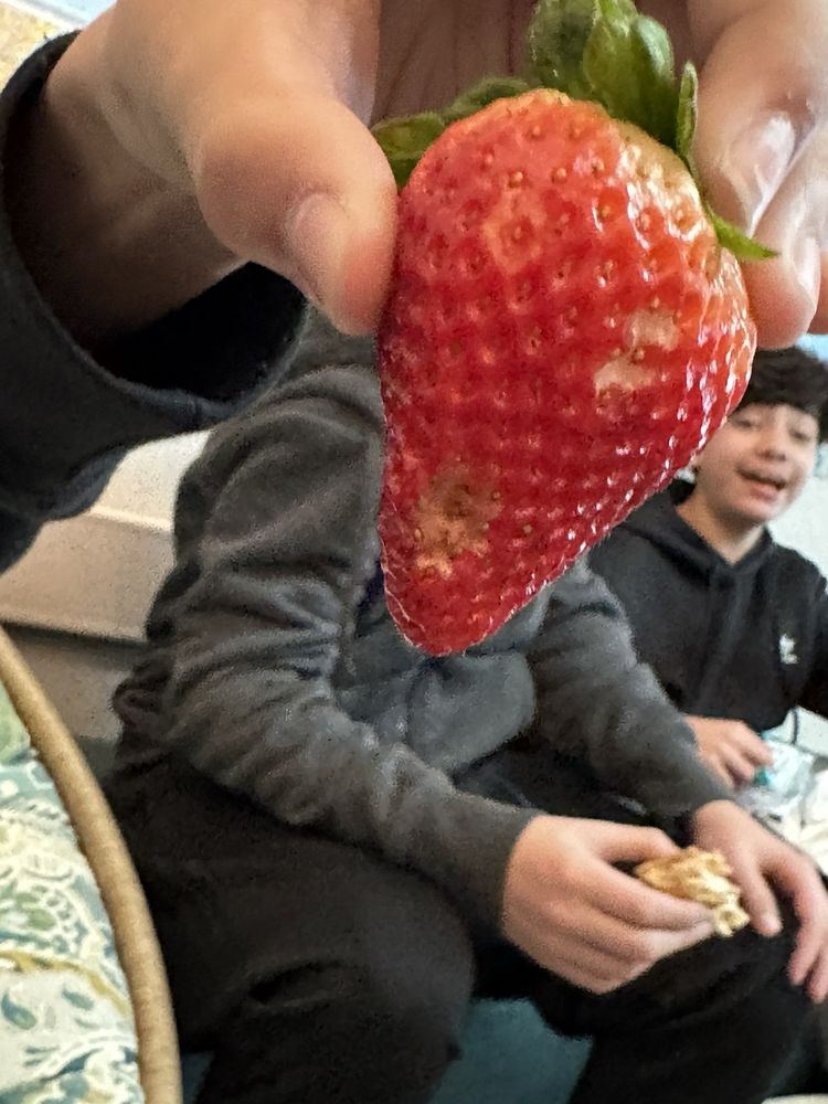 LEXINGTON JUNIOR HIGH SCHOOL - Updated May 2025 - 17 Reviews - 4351 ...